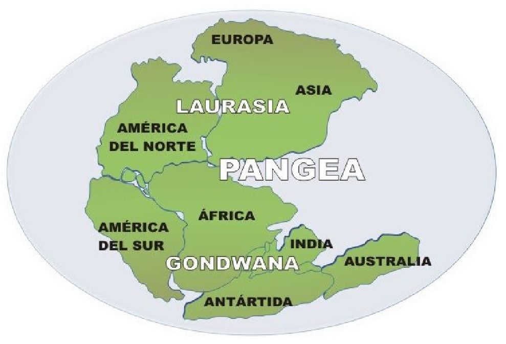 La deriva continental | Genially