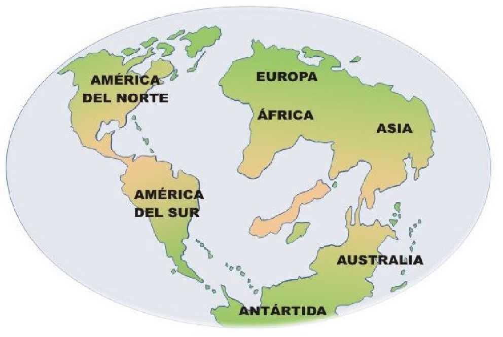 La deriva continental | Genially