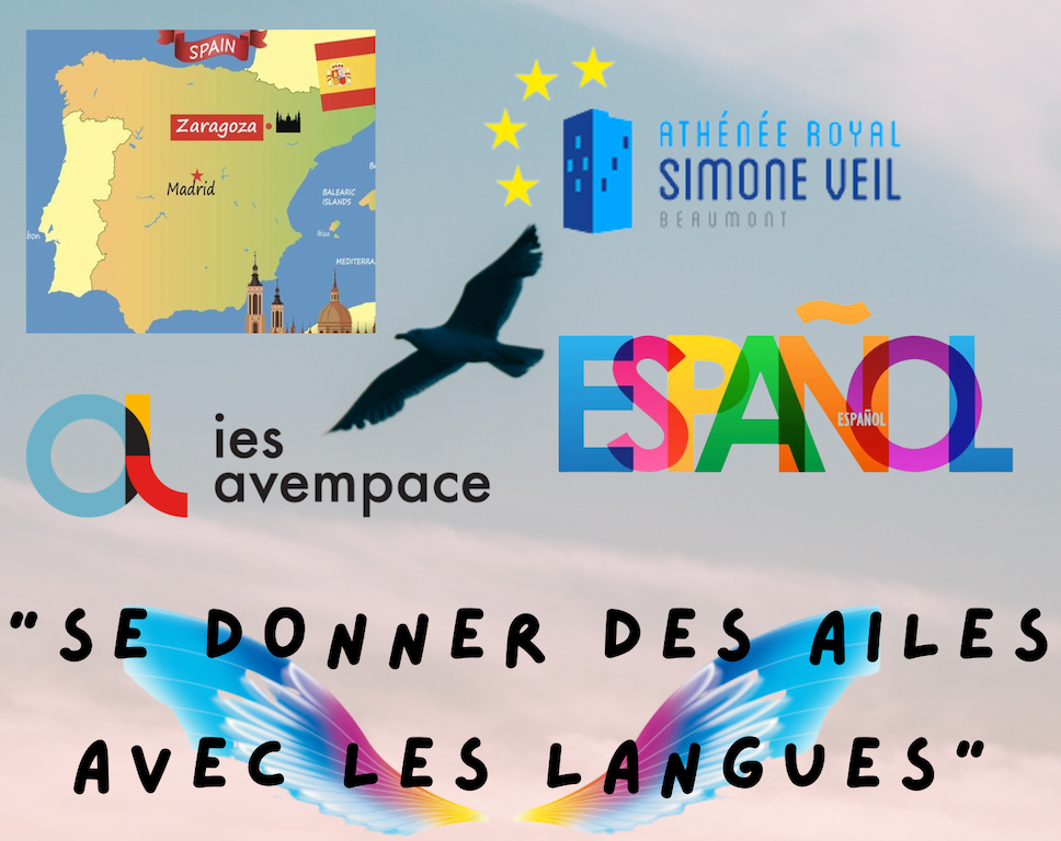 VIBRANT COMPARISON | Genially