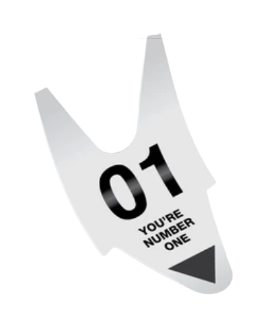 SA TAREA FINAL | Genially