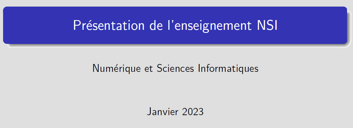 Présentation NSI Bellevue | Genially
