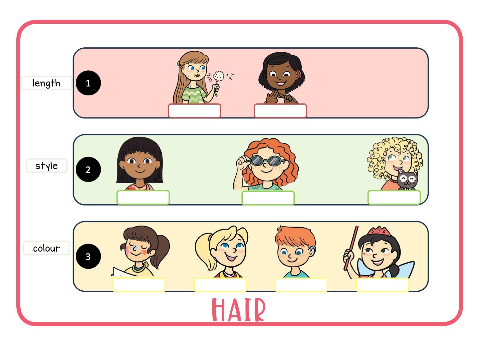 types of hair | Genially
