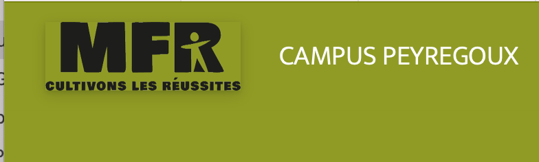 Orientation après la 4ème | Genially