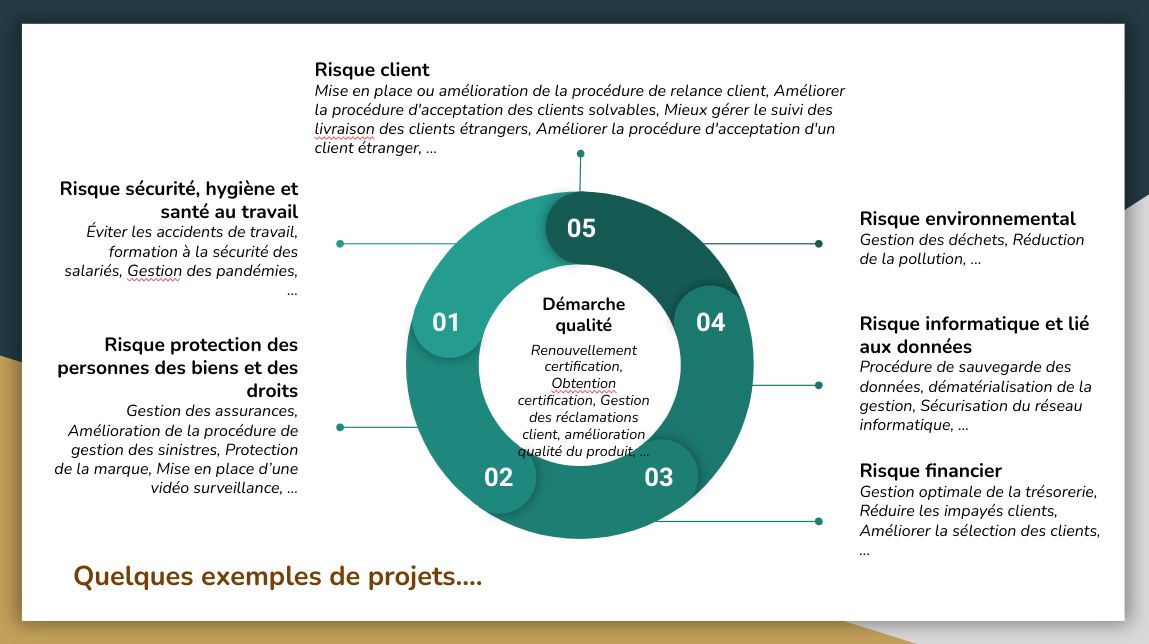 Des exemples de projet de gestion des risque ou de