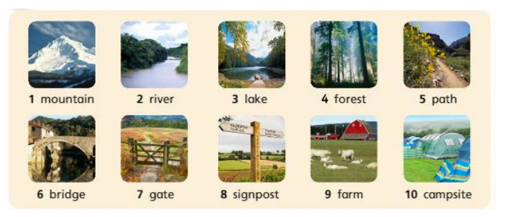 4th Grade ENGLISH 3rd Term | Genially