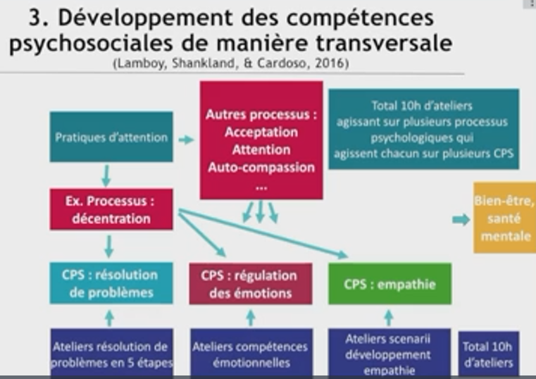 CPS - PORTFOLIO SCIENCES COGNITIVES