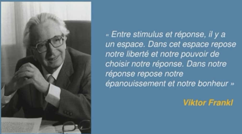 CPS - PORTFOLIO SCIENCES COGNITIVES