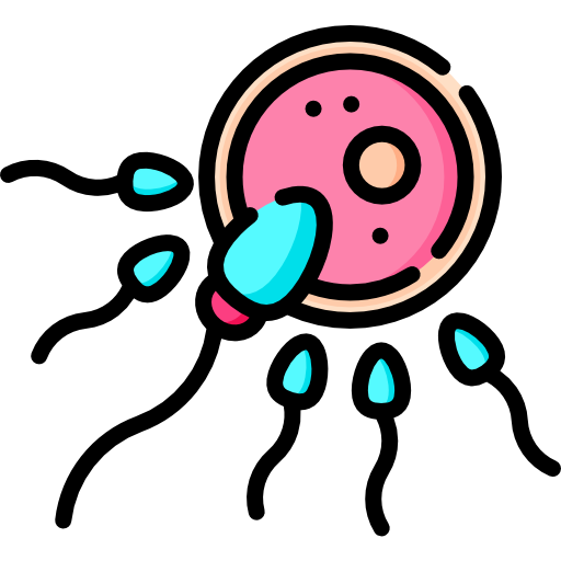 4e - Contraception | Genially