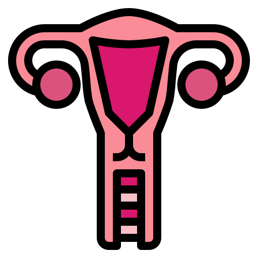 4e - Contraception | Genially