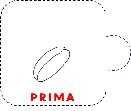 Prima-dopo-infine | Genially