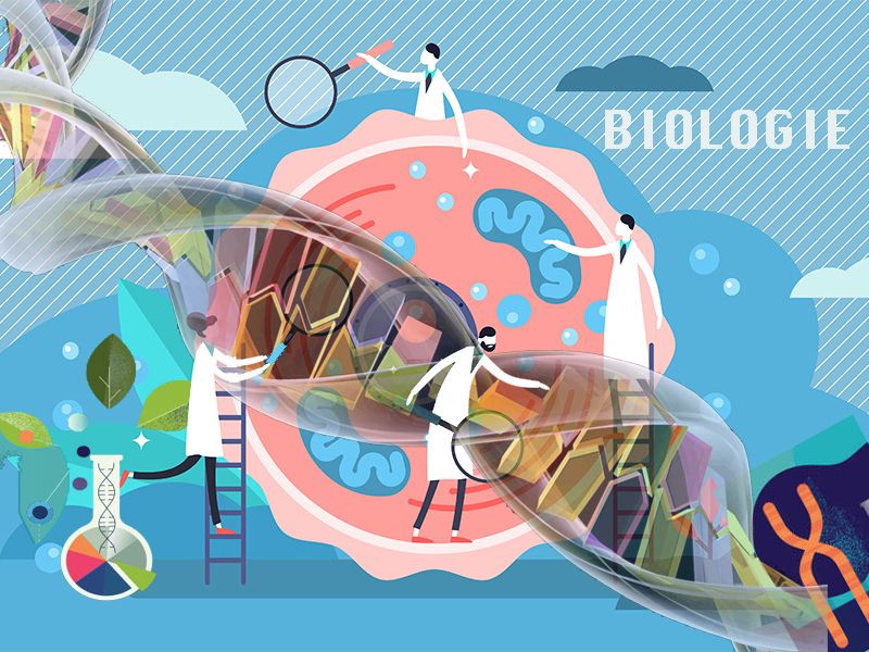 TERM réviser SVT première