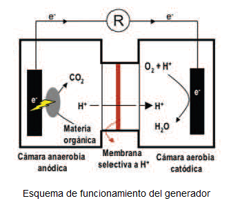 Folleto-Darío Aller Suárez-Genially | Genially
