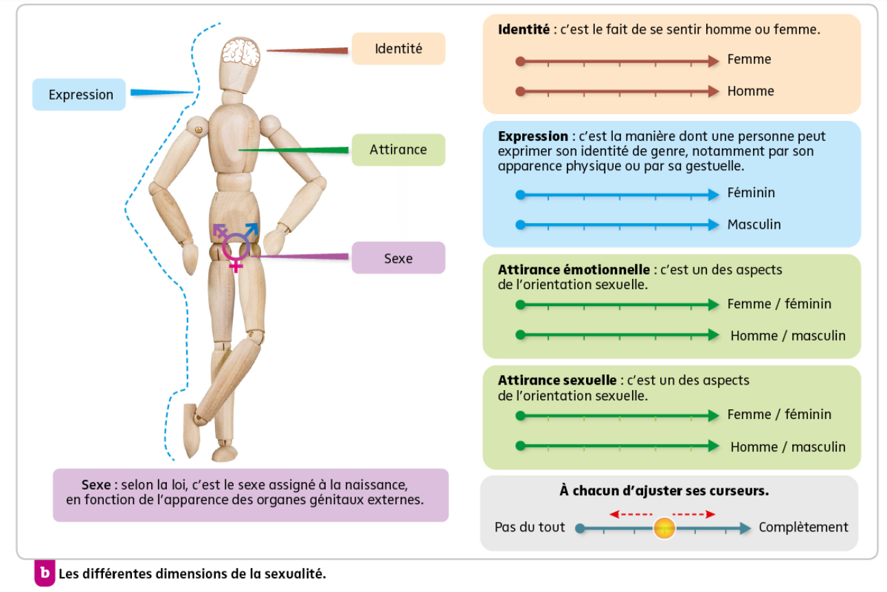 Dimensions de la sexualité