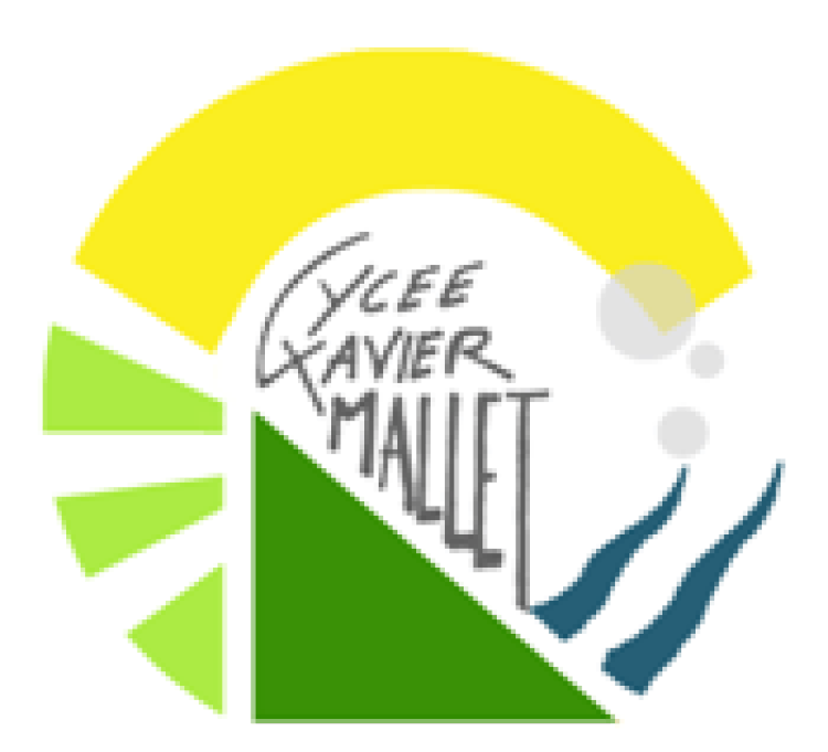 PFMP 1 Seconde MRC | Genially