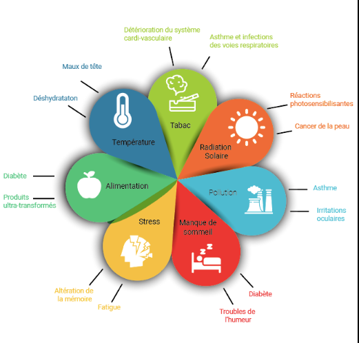 le système de santé CAP | Genially