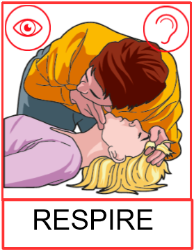 Perte de connaissance | Genially