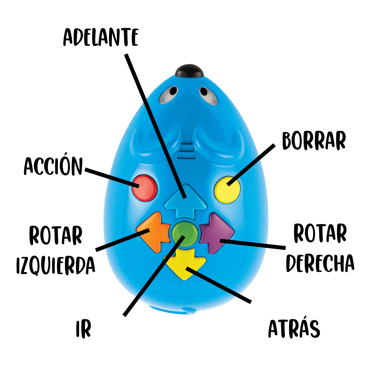 Code & Go Robot Mouse | Genially