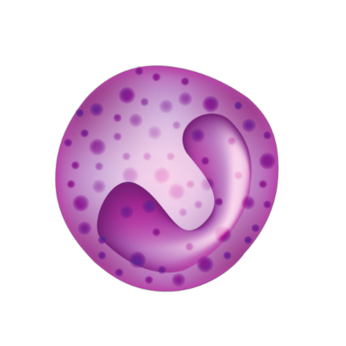 La démarche expérimentale en SVT | Genially