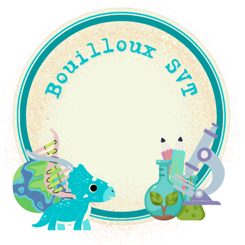 Structure de la molécule d'ADN | Genially