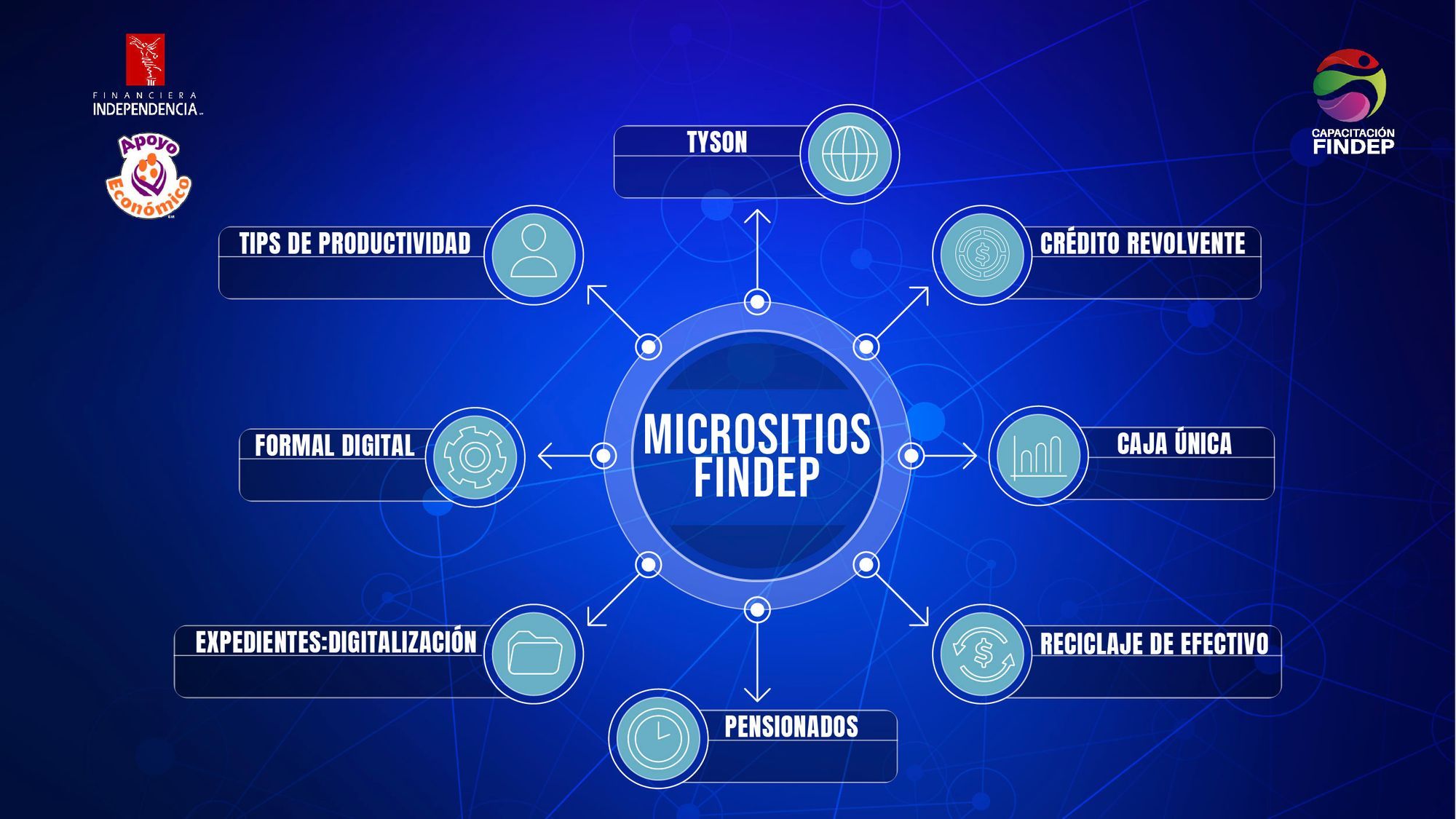 infografia micrositio