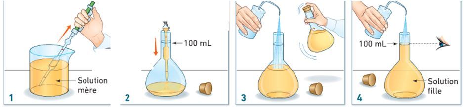 concentration molaire et dilution bac pro | Genially