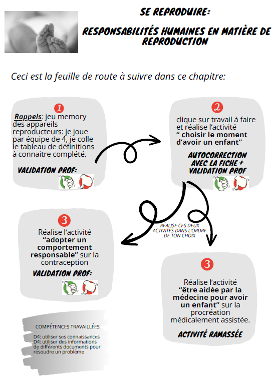 se reproduire 3e | Genially