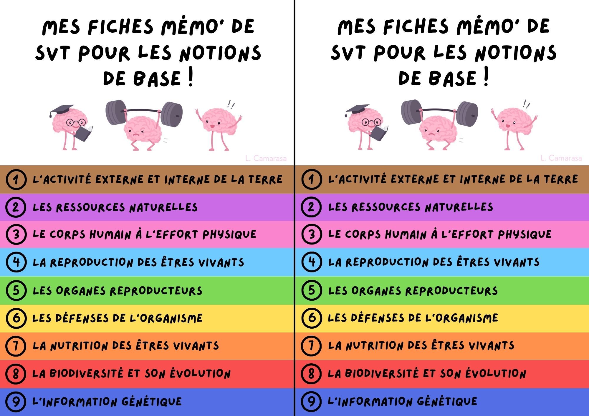 Fiches mémo' de SVT | Genially