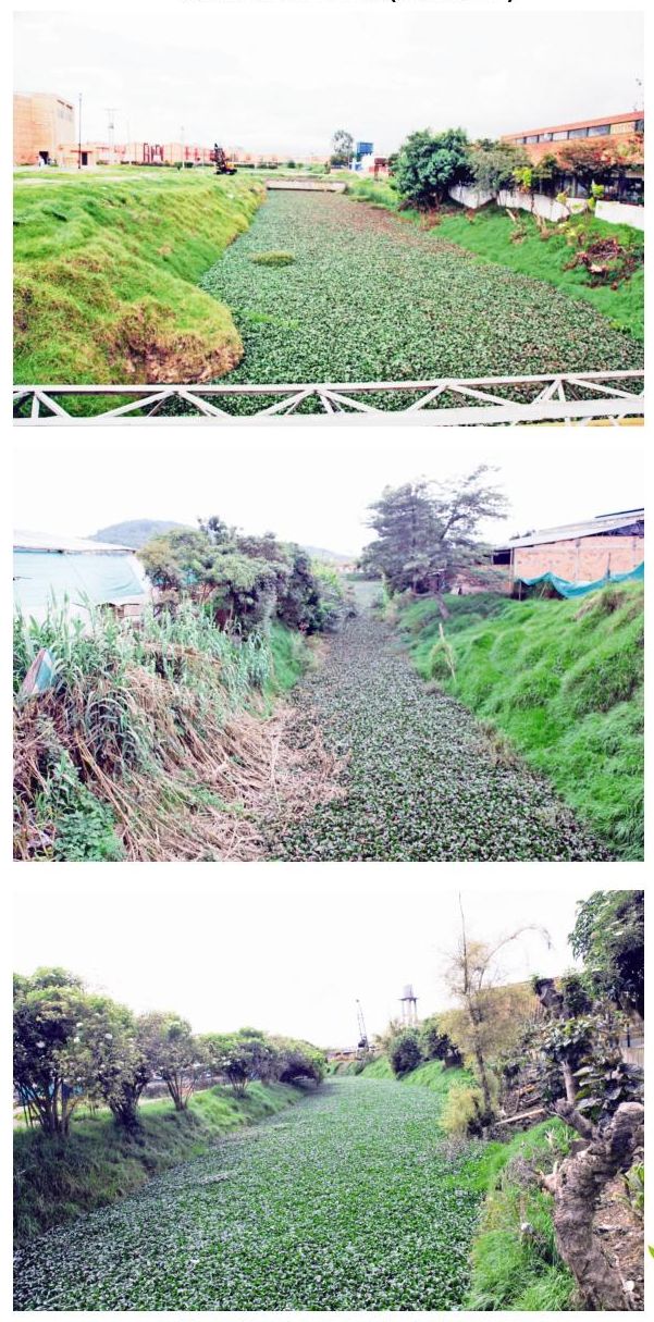 MAPA DE SUEÑOS | Genially