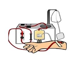 transfu interactivo m1 | Genially