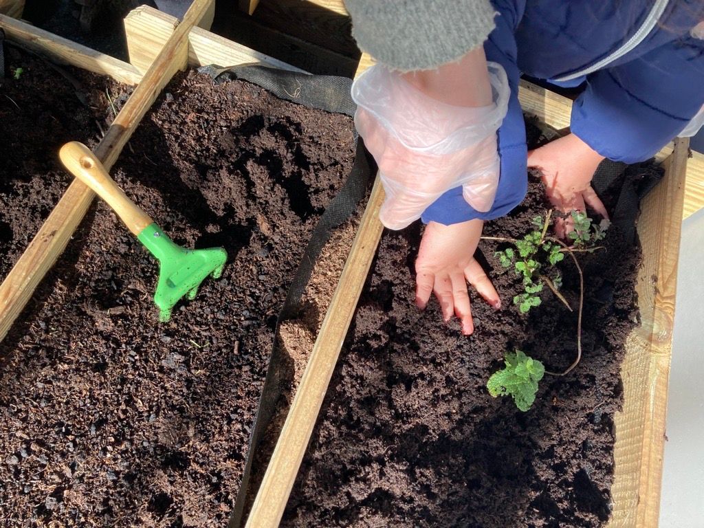 1_PROYECTO AULAS VERDES | Genially