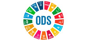 1_PROYECTO AULAS VERDES | Genially