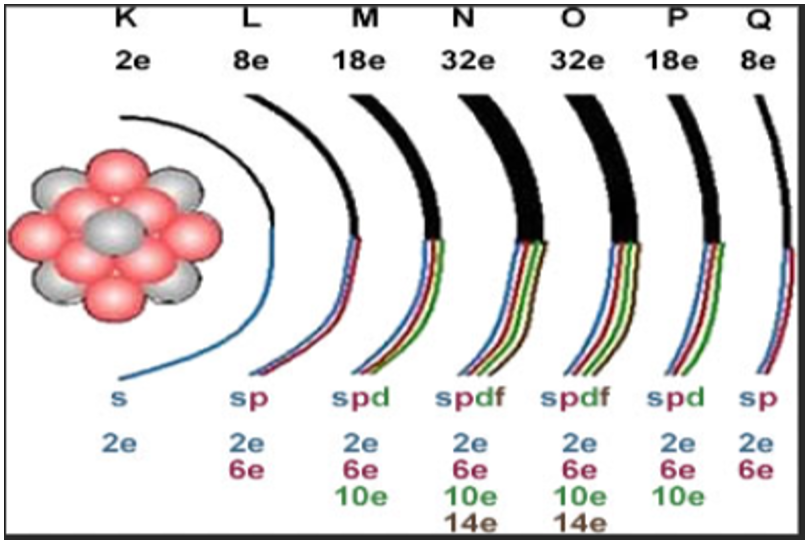 CELL VERTICAL INFO