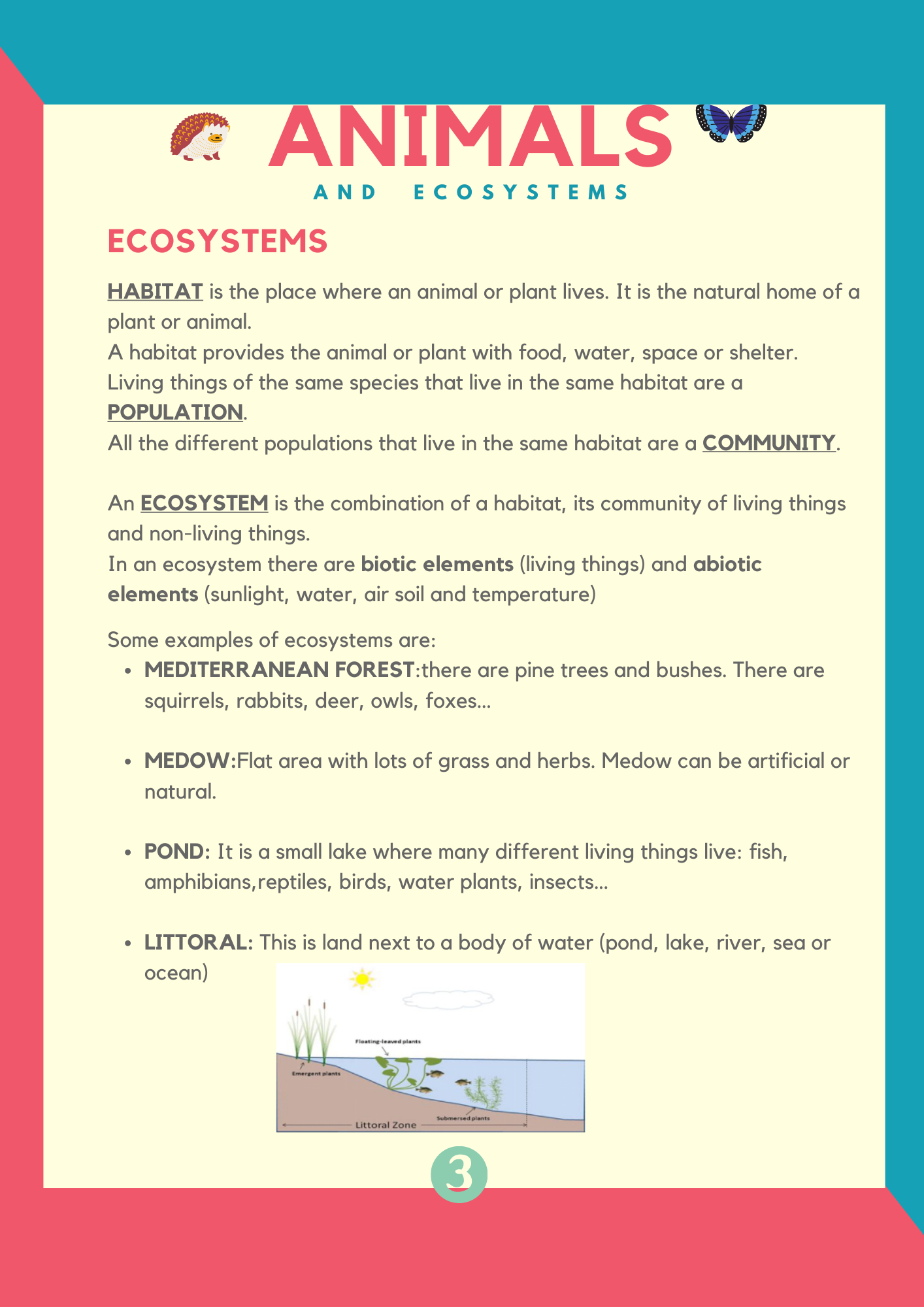 SCRIPT Part2 (Animals and Ecosystems) copia