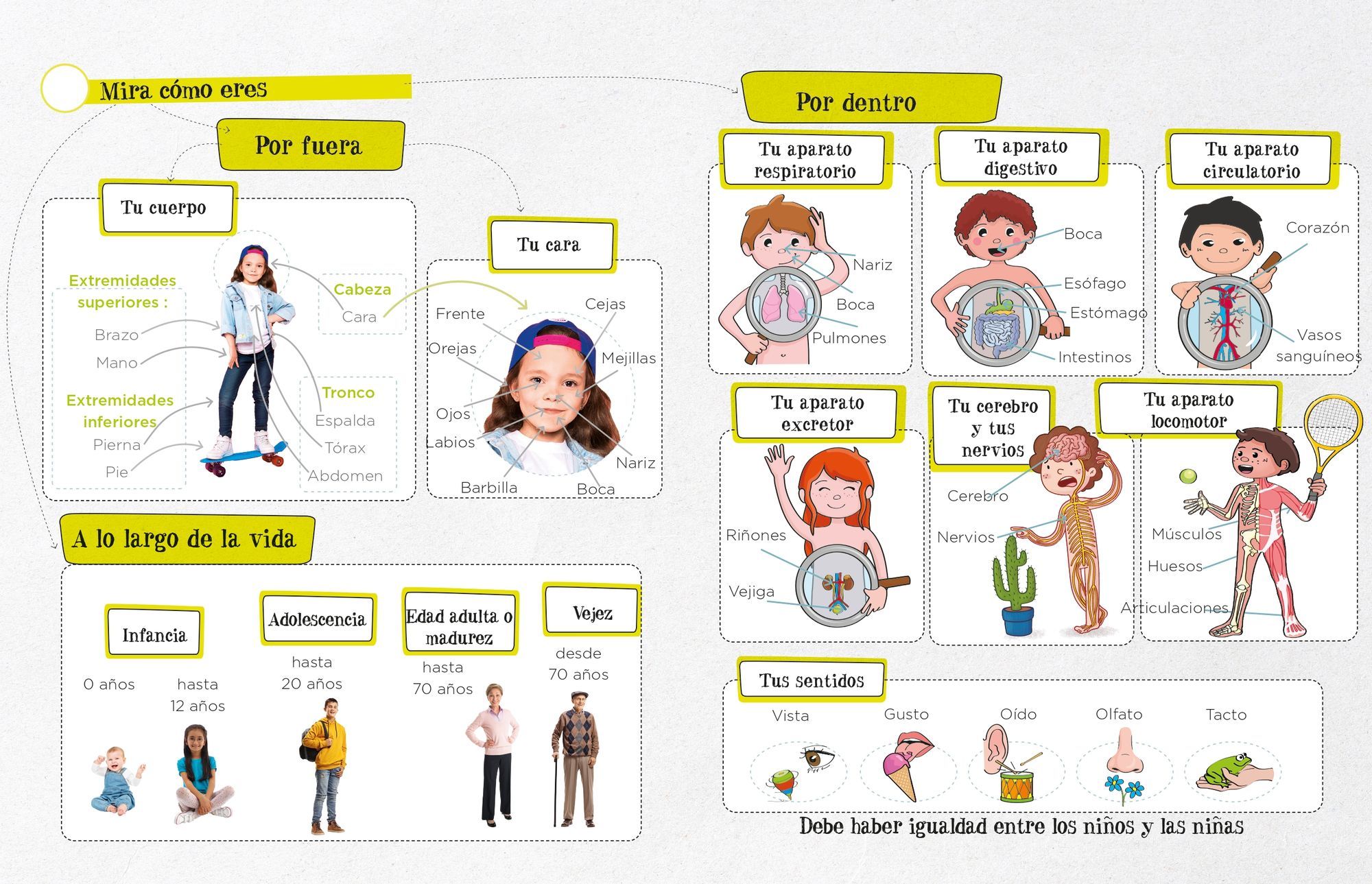 TEMA 1 Mira cómo eres | Genially