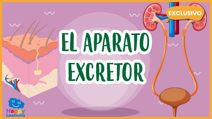 TEMA 1 Mira cómo eres | Genially