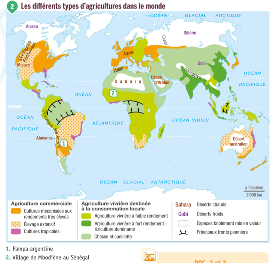 DIGITAL BASIC PRESENTATION