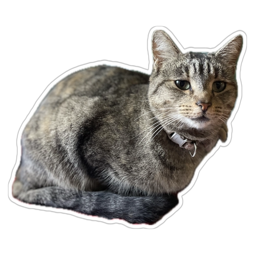 María Delia Moscoso Mayen | Genially