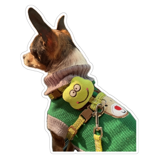 María Delia Moscoso Mayen | Genially