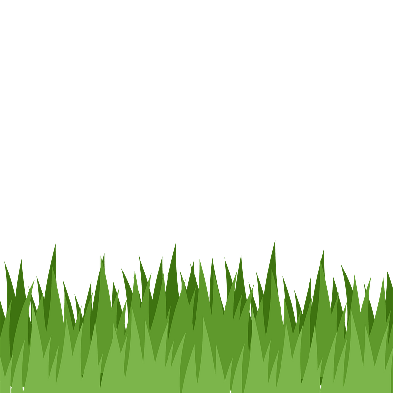 Grass Bottom Border