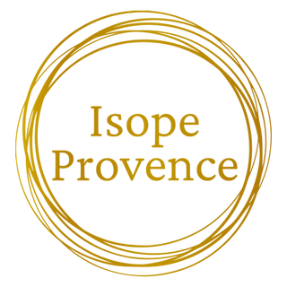 UNICORN STARTUP PRESENTATION