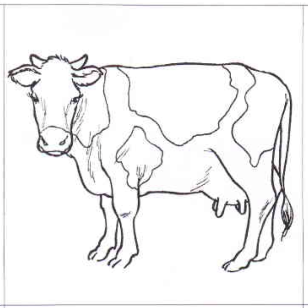 MS P2 Mots proches en broche 1 | Genially