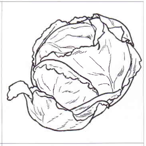 MS P2 Mots proches en broche 1 | Genially