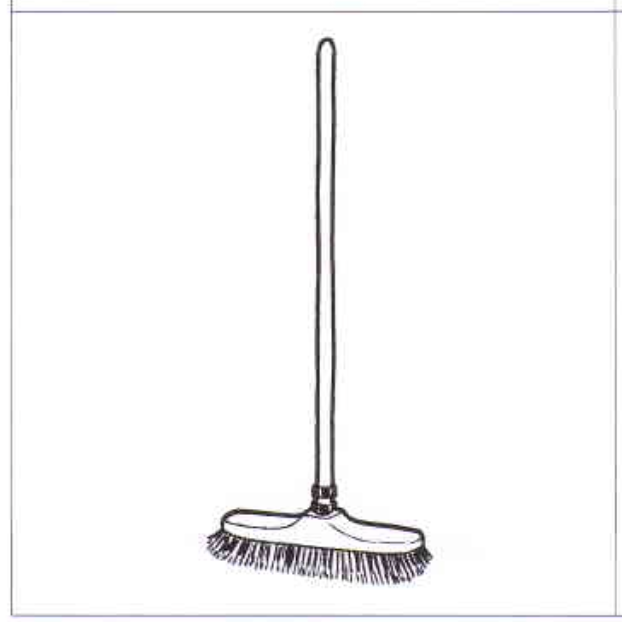 MS P2 Mots proches en broche 1 | Genially