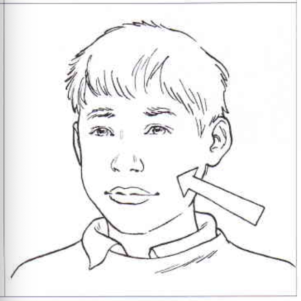 MS P2 Mots proches en broche 1 | Genially