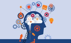 MODULE 5 TER MCV | Genially