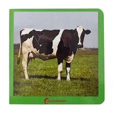 DOUBLE ANIMALS GAME | Genially