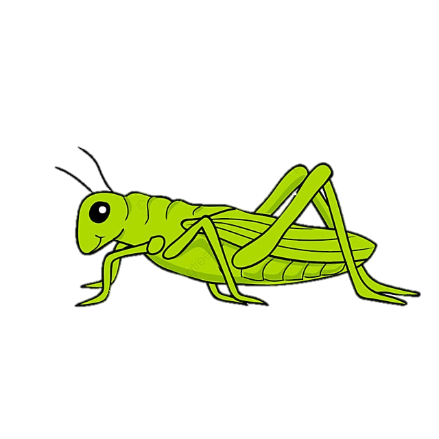 RESPIRACIÓN DE ANIMALES | Genially