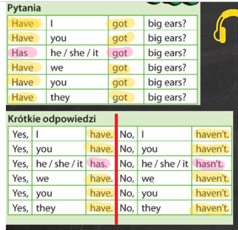 Have got - pytania i odpowiedzi