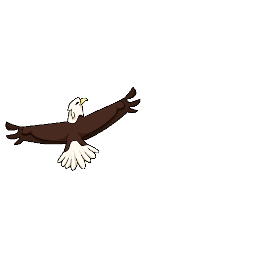 Tipos de BOSQUES | Genially