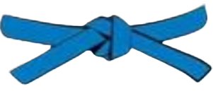 Les ceintures de Calcul Mental : Le Genially des tables d'additions, soustractions ...